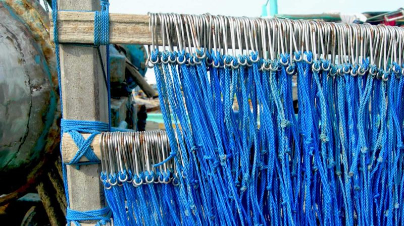 Apa Itu Pancing Rawai? - Fishing Gear Solution Apa Itu Pancing Rawai?
